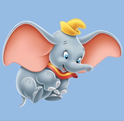 Dumbo – The Zoo Company Toy Store