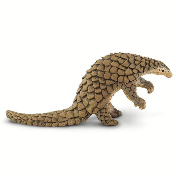 IC Pangolin – The Zoo Company Toy Store